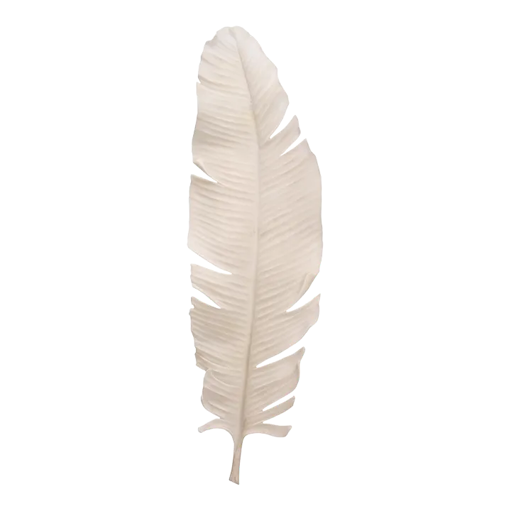 Feather Object in White | Chairish
