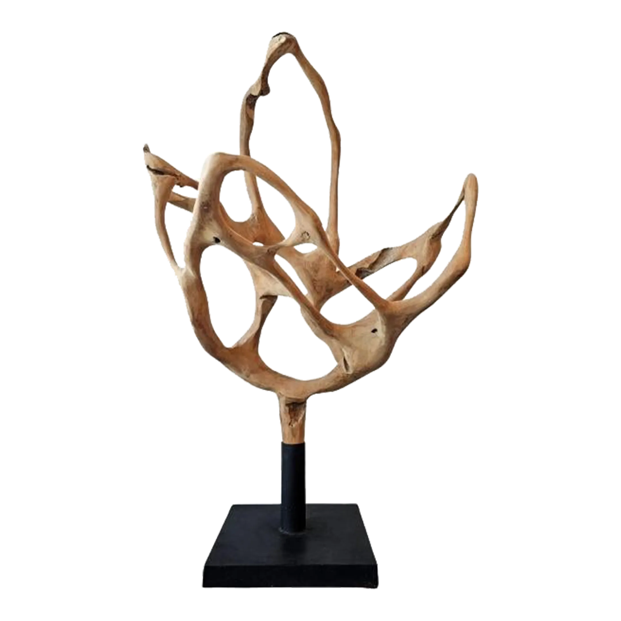 Large Organic Free-Form Teak Root Wood Sculpture | Chairish