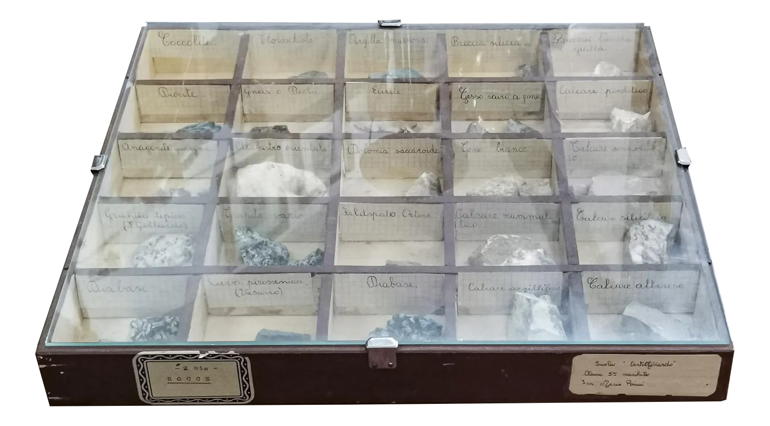 Display Cases with Various Minerals, Set of 4 | Chairish