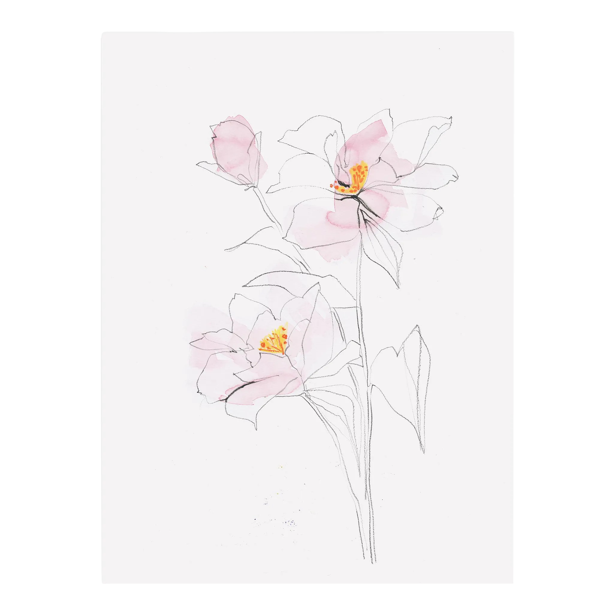"Light Pink Flowers" Original Watercolor Painting by Yuki Osada | Chairish