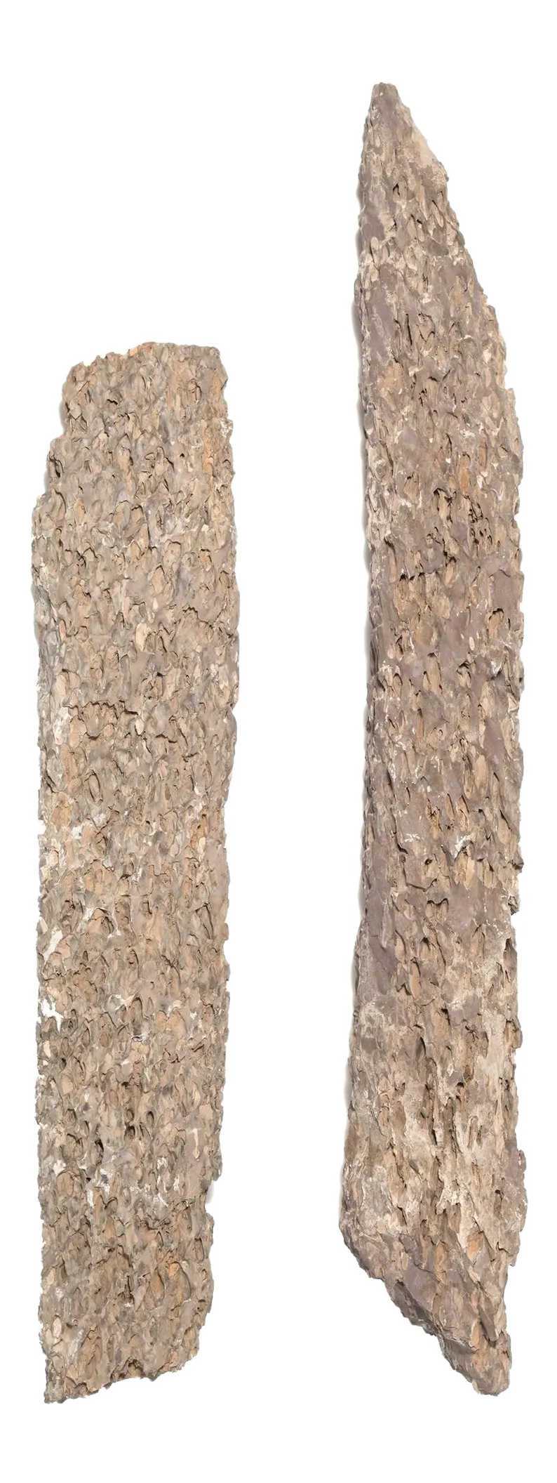 Chinese Taihu Stone | Chairish