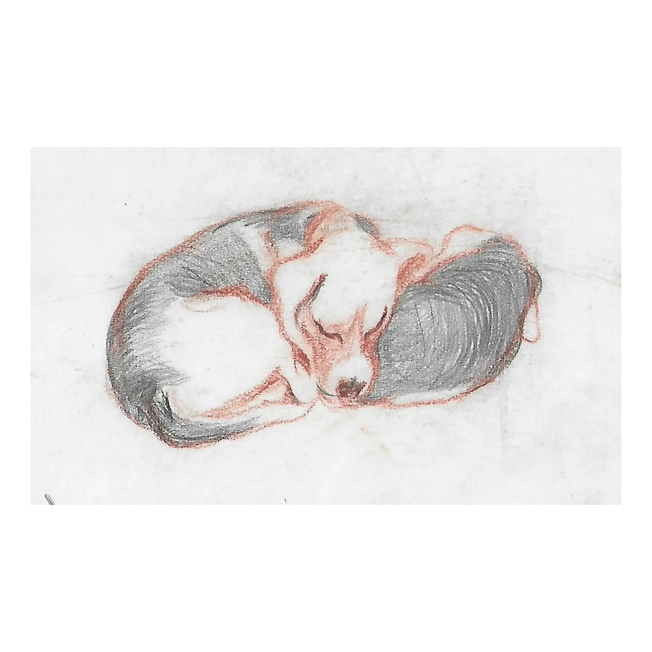 1970s Sleeping Dog Drawing | Chairish
