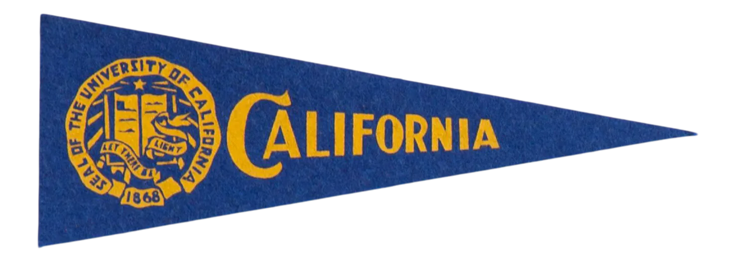 Vintage University of California Felt Flag | Chairish