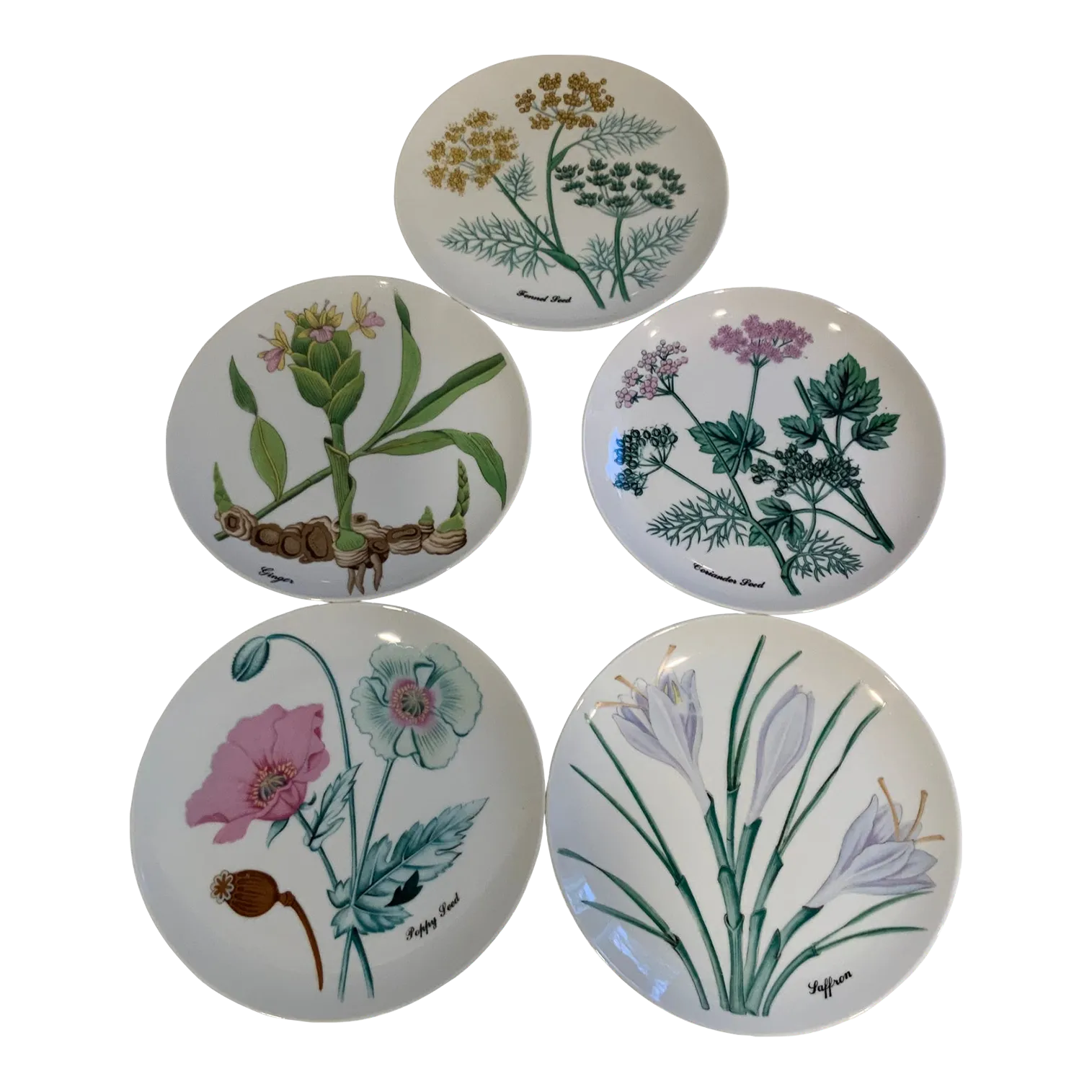 Horchow Collection Herb Plates, a Set of 5 | Chairish