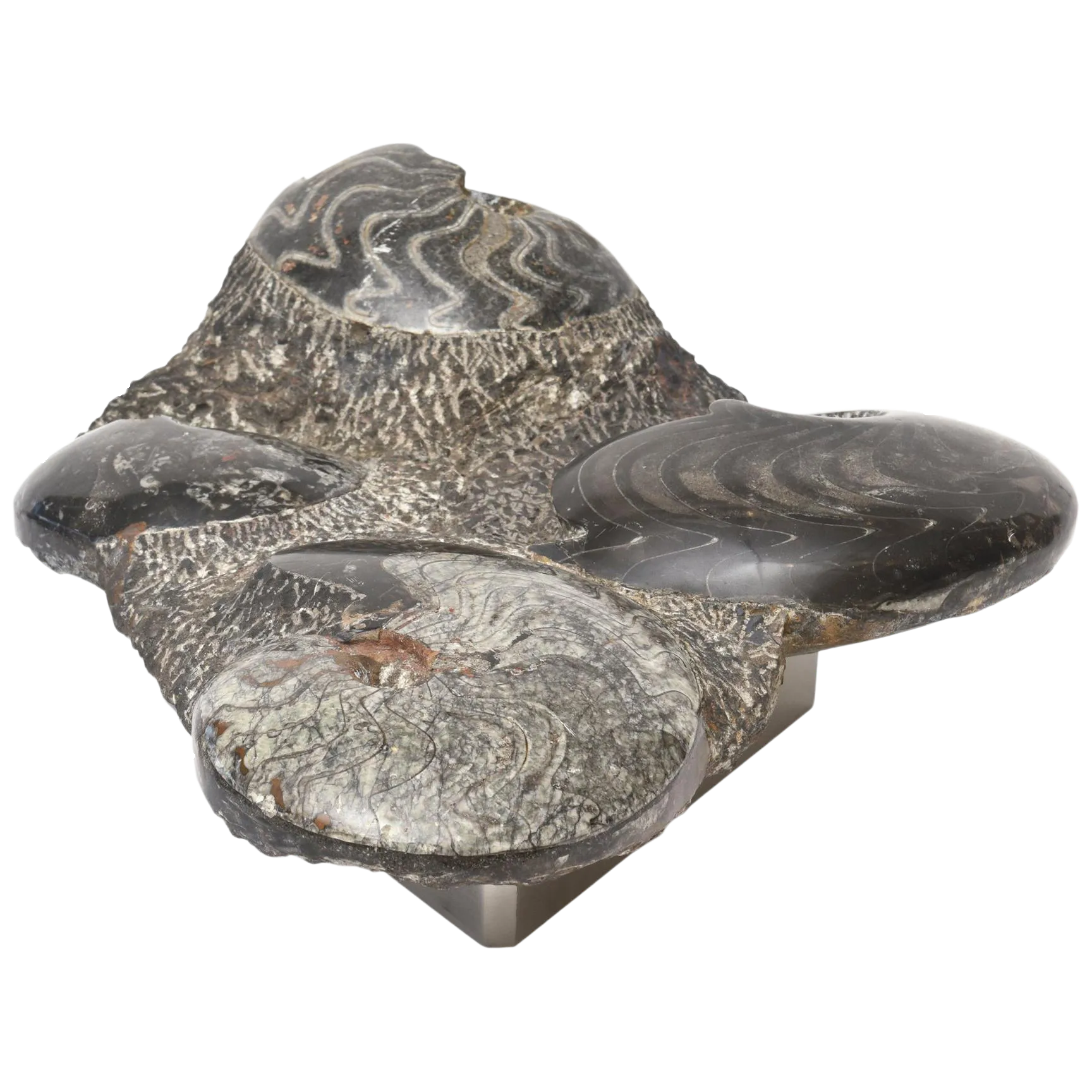 Organic Modern Biomorphic Stone Sculpture on Stainless Steel Custom ...