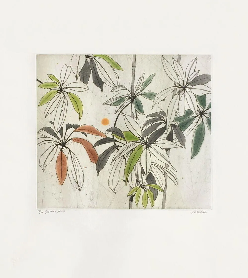 1980s Anne Walker, Jennies Plant, Etching | Chairish