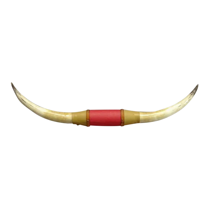 1980s Large Mounted Steer Horns With Red Leather | Chairish