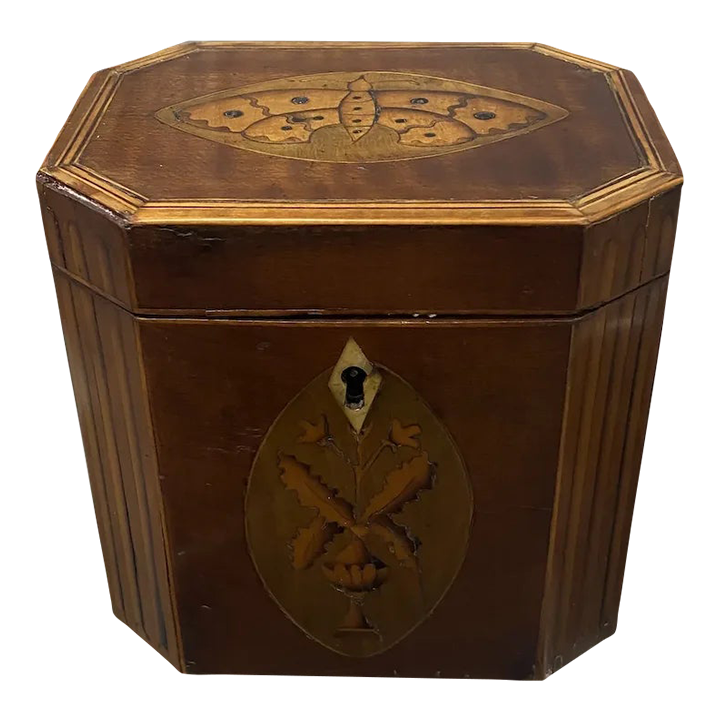 Early 19th Century English George III Tea Caddy | Chairish