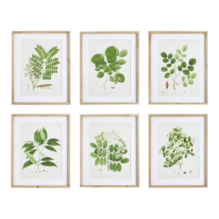 Tree Leaf Study in Wood Frames, Set Of 6 | Chairish