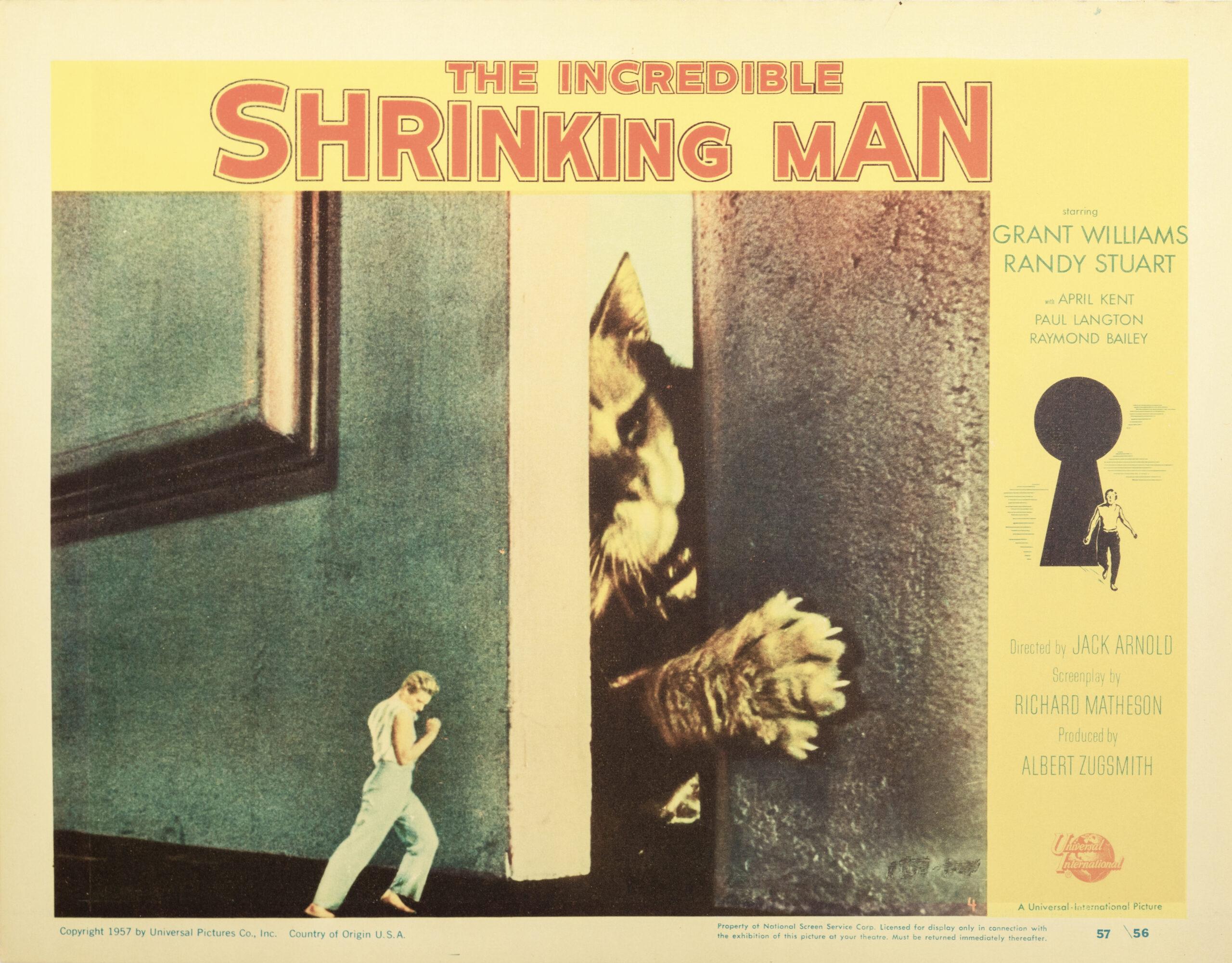 1950s The Incredible Shrinking Man 1957 Vintage Lobby Card #2 | Chairish