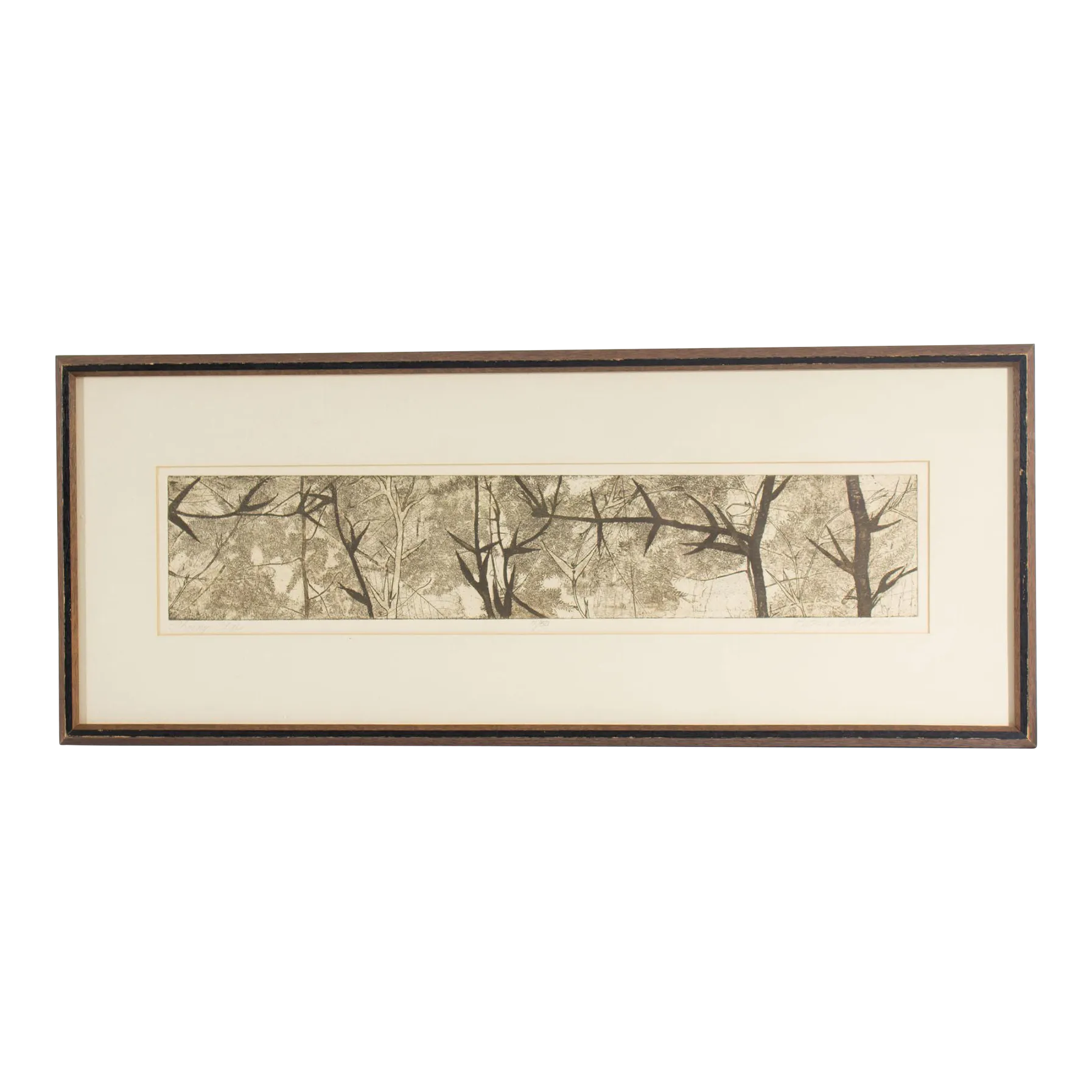 “Thorny Edge” Limited Edition Etching by Bethia Brehmer | Chairish