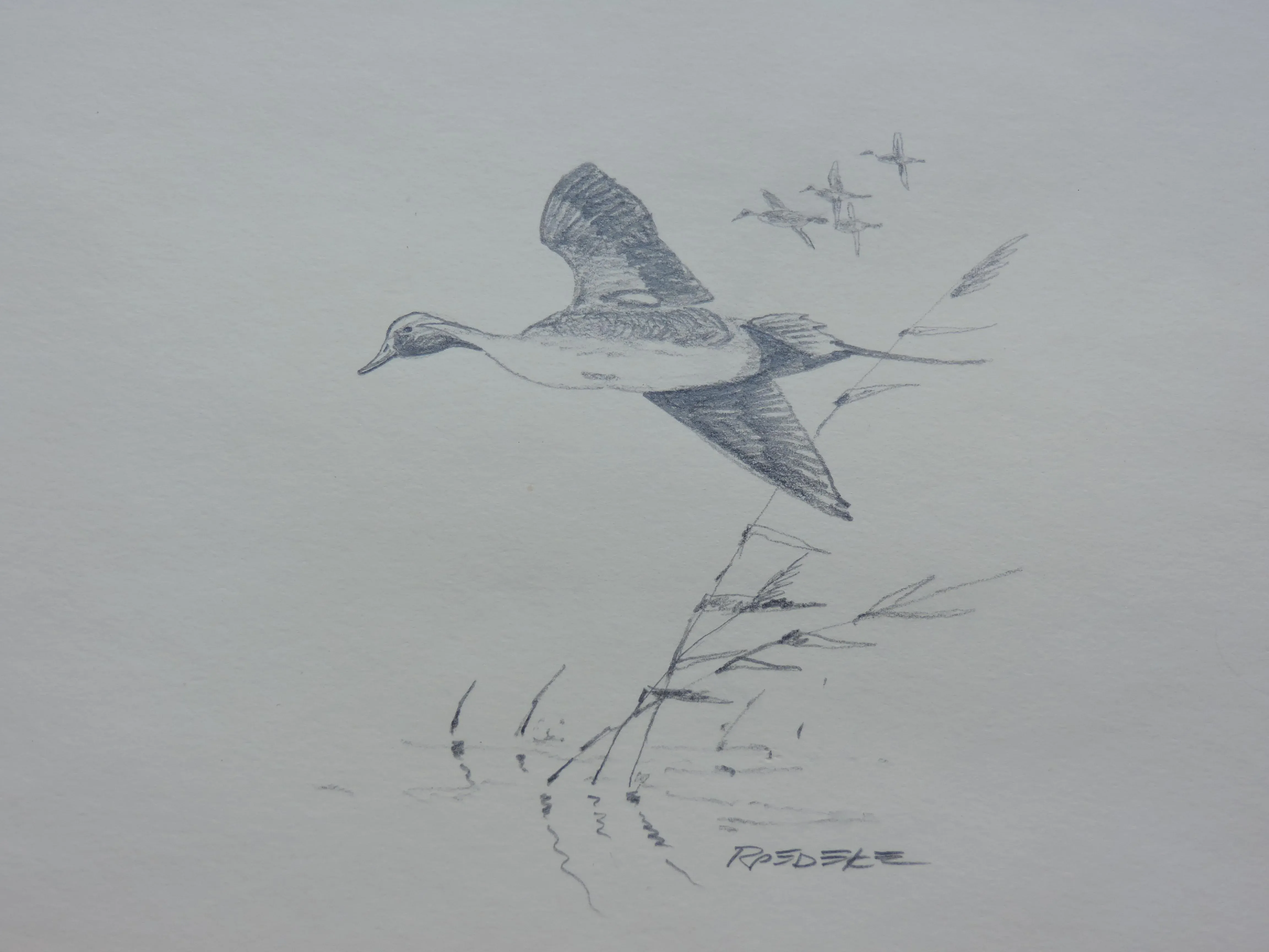 Pond Drawing Pencil Tim Pond