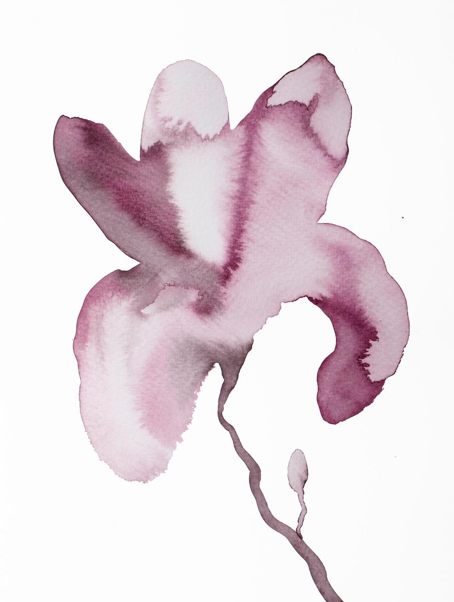 "Magnolia No. 62" Contemporary Original Botanical Ink Painting by ...