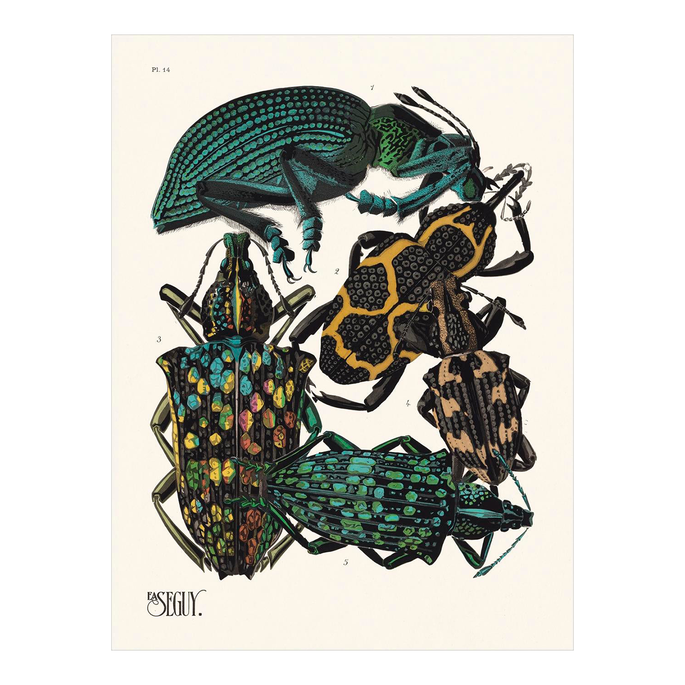 Insects Giclee Reproduction Art Print by Emile-Allain Seguy | Chairish