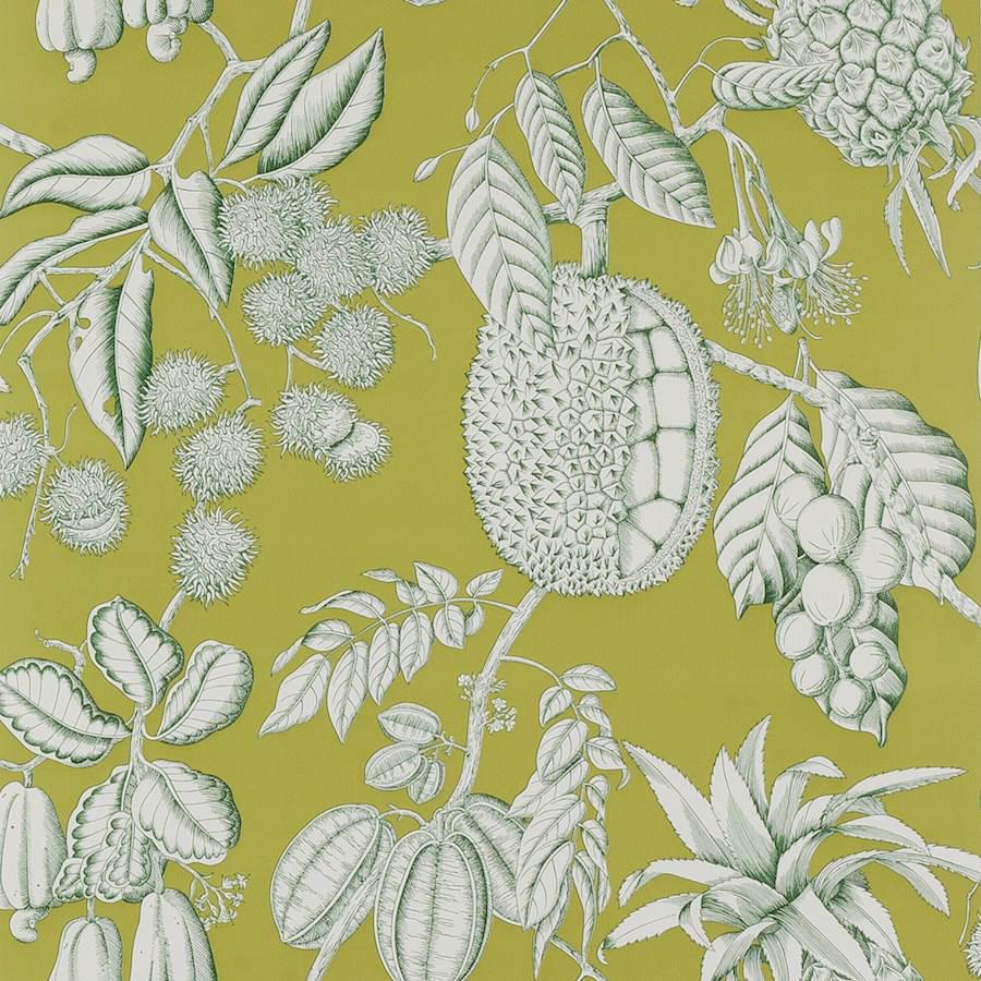 Balangan Wallpaper by Manuel Canovas - Sample | Chairish