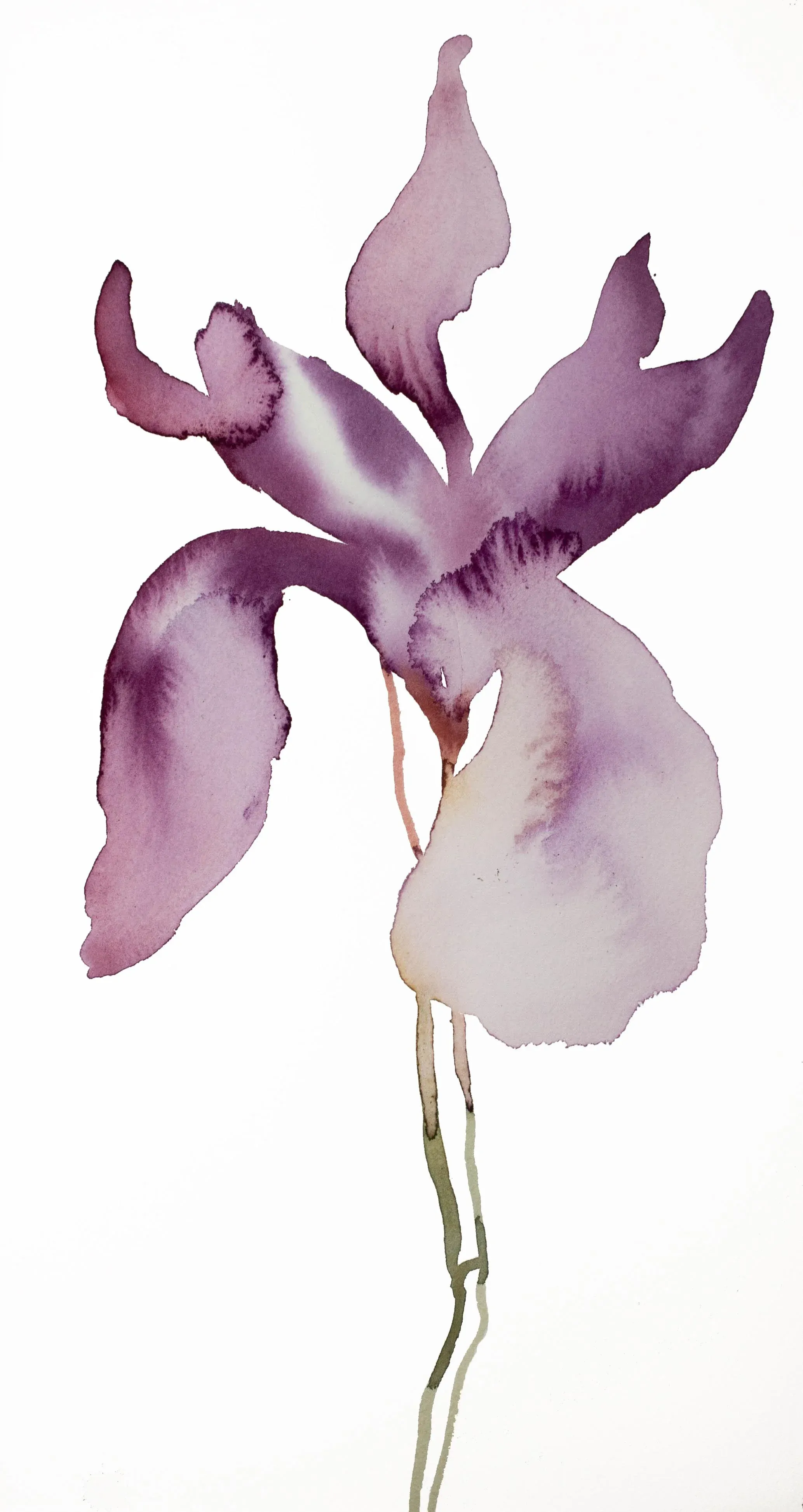 "Iris No. 145" Contemporary Original Expressionist Watercolor Painting ...