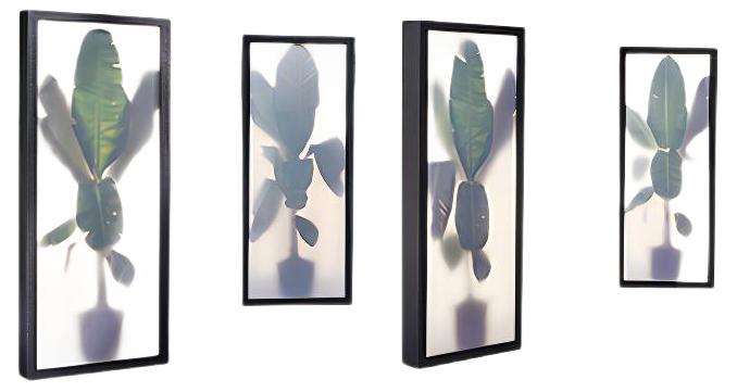Growing Plants Lightbox With Photographic Collage by Rem Atelier | Chairish