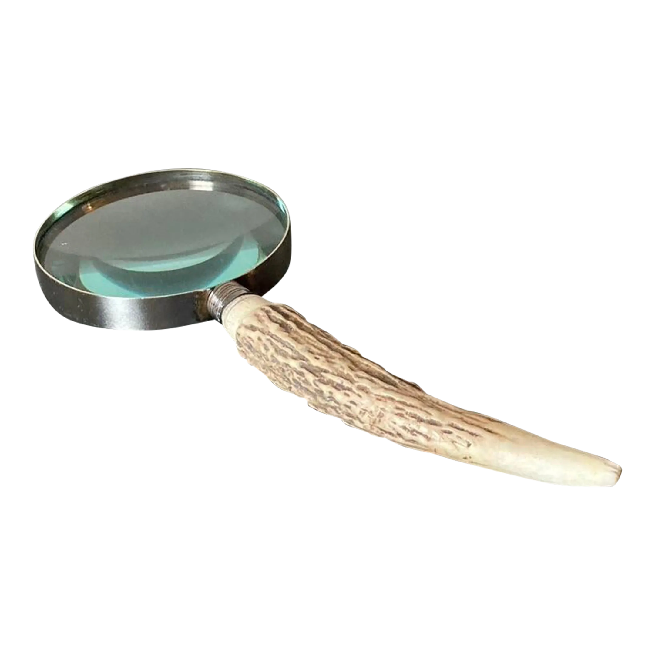 19th Century Antique English Magnifying Glass With Silver Rim and Horn ...