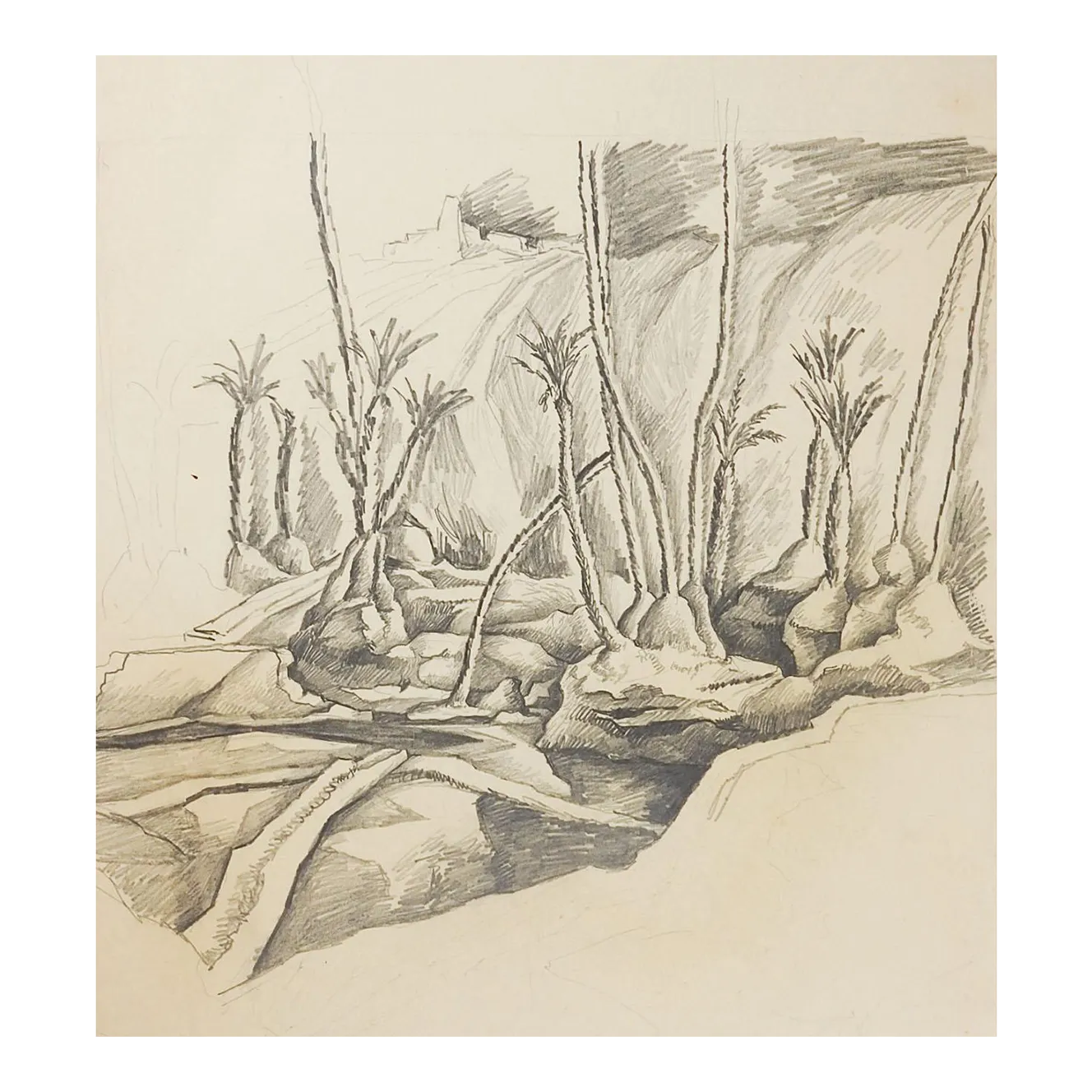 Vintage Wadi & Palm Trees Pencil Study Drawing | Chairish