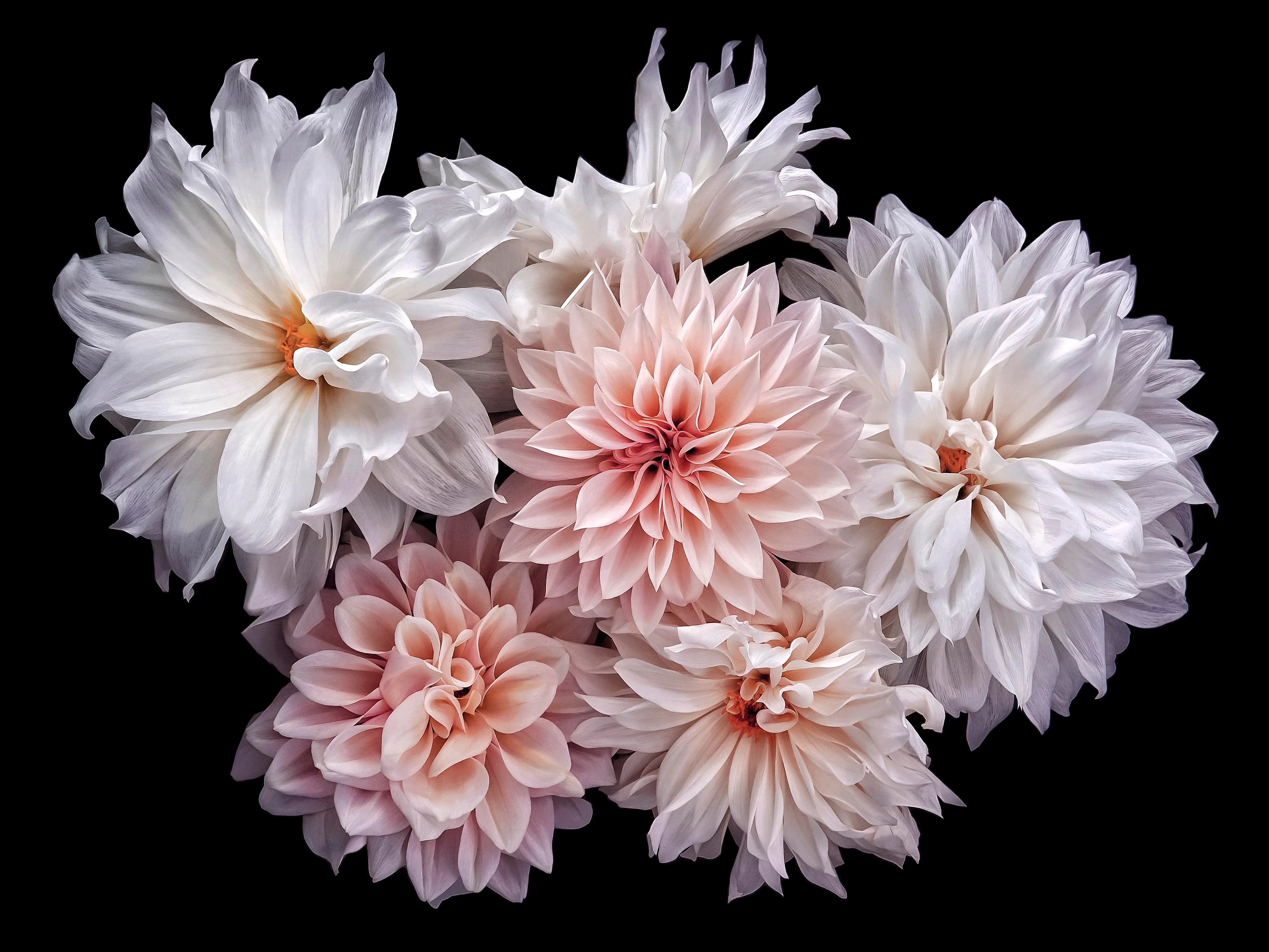 Photographic Botanical Print, "Fairytale" Landscape by Artist Debi ...