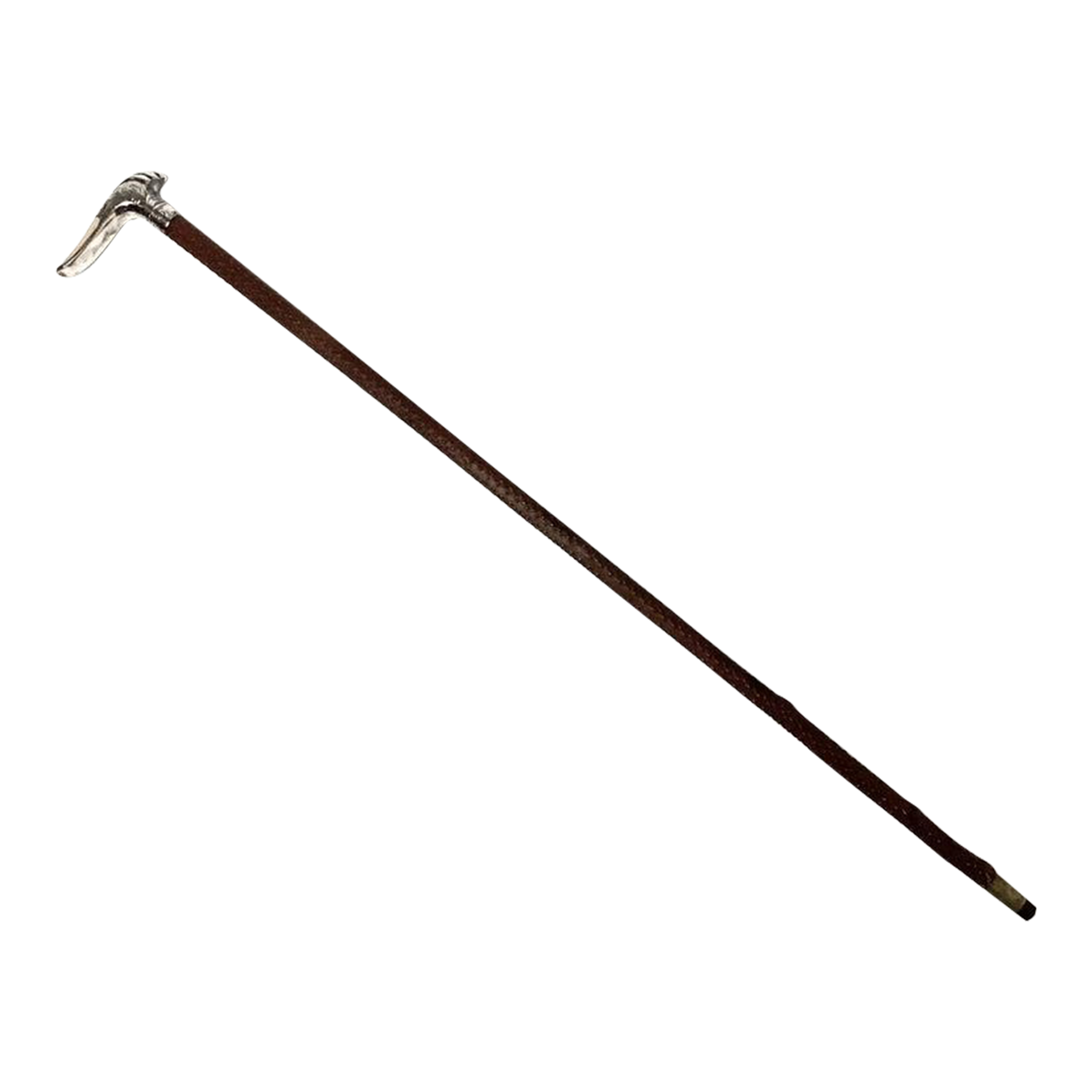 Early 20th Century Sterling Silver Duck Bill Walking Stick Cane | Chairish