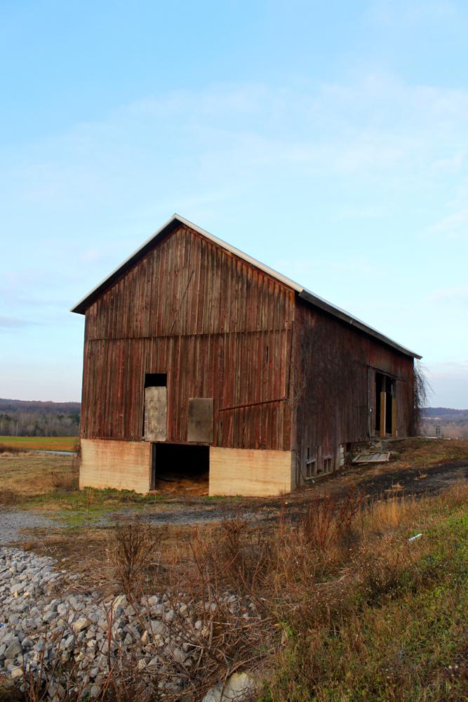 Old Brown Barn Photography | Chairish