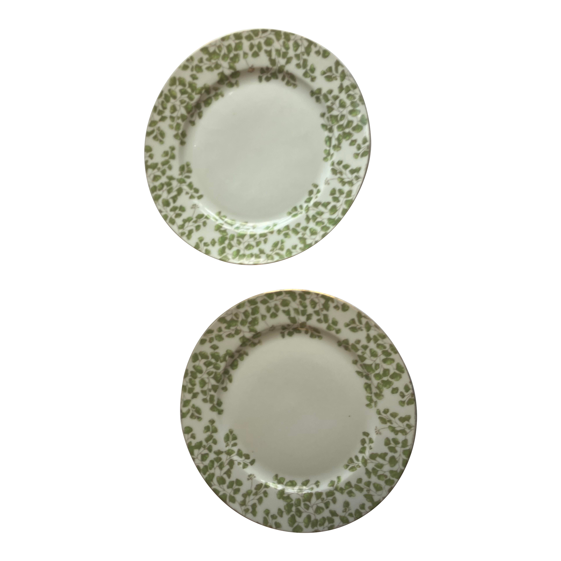 Pair of Mid 20th Century French Decorative Plates With Green Leaf ...
