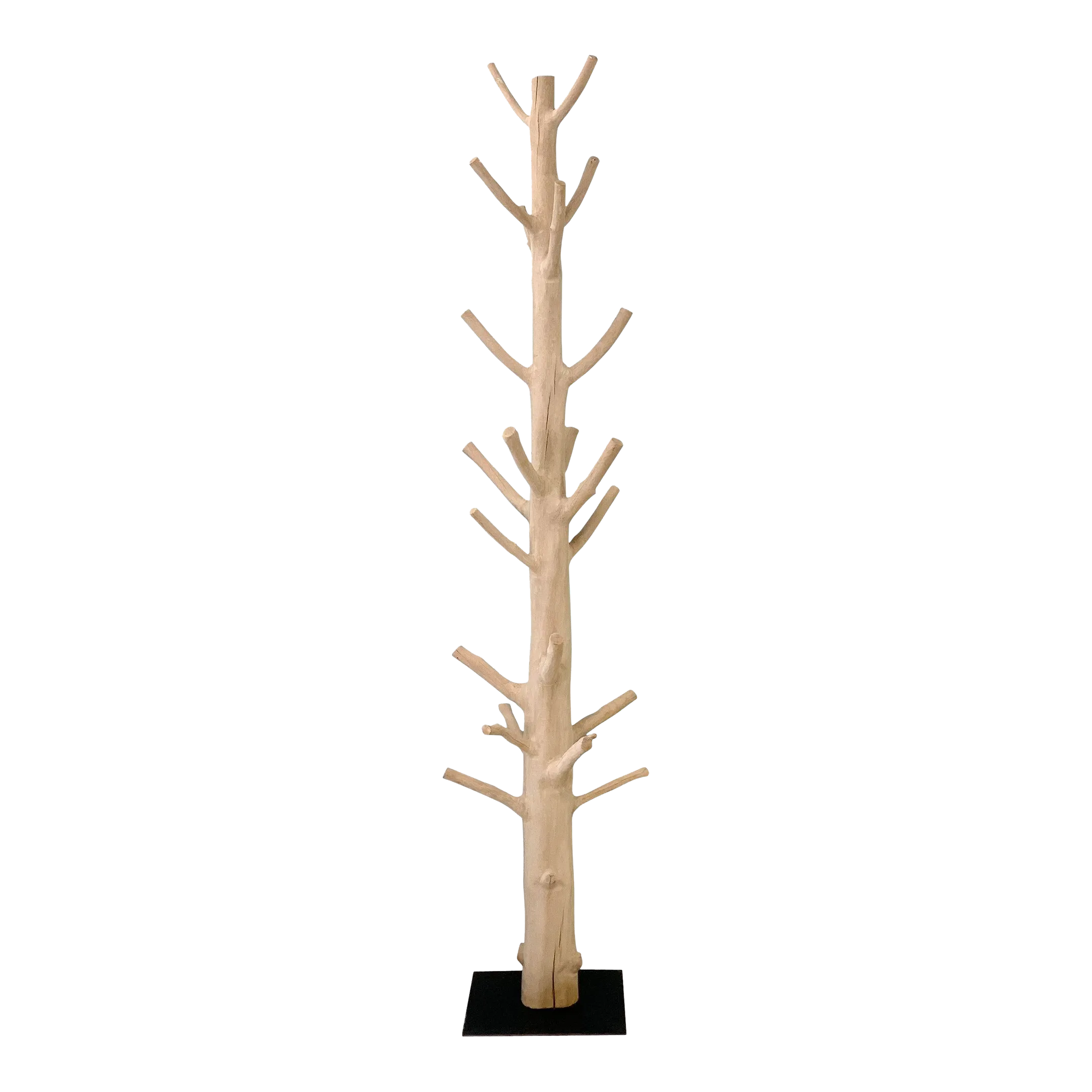Contemporary Natural Wood Mangosteen Tree Floor Coat Rack With Iron ...