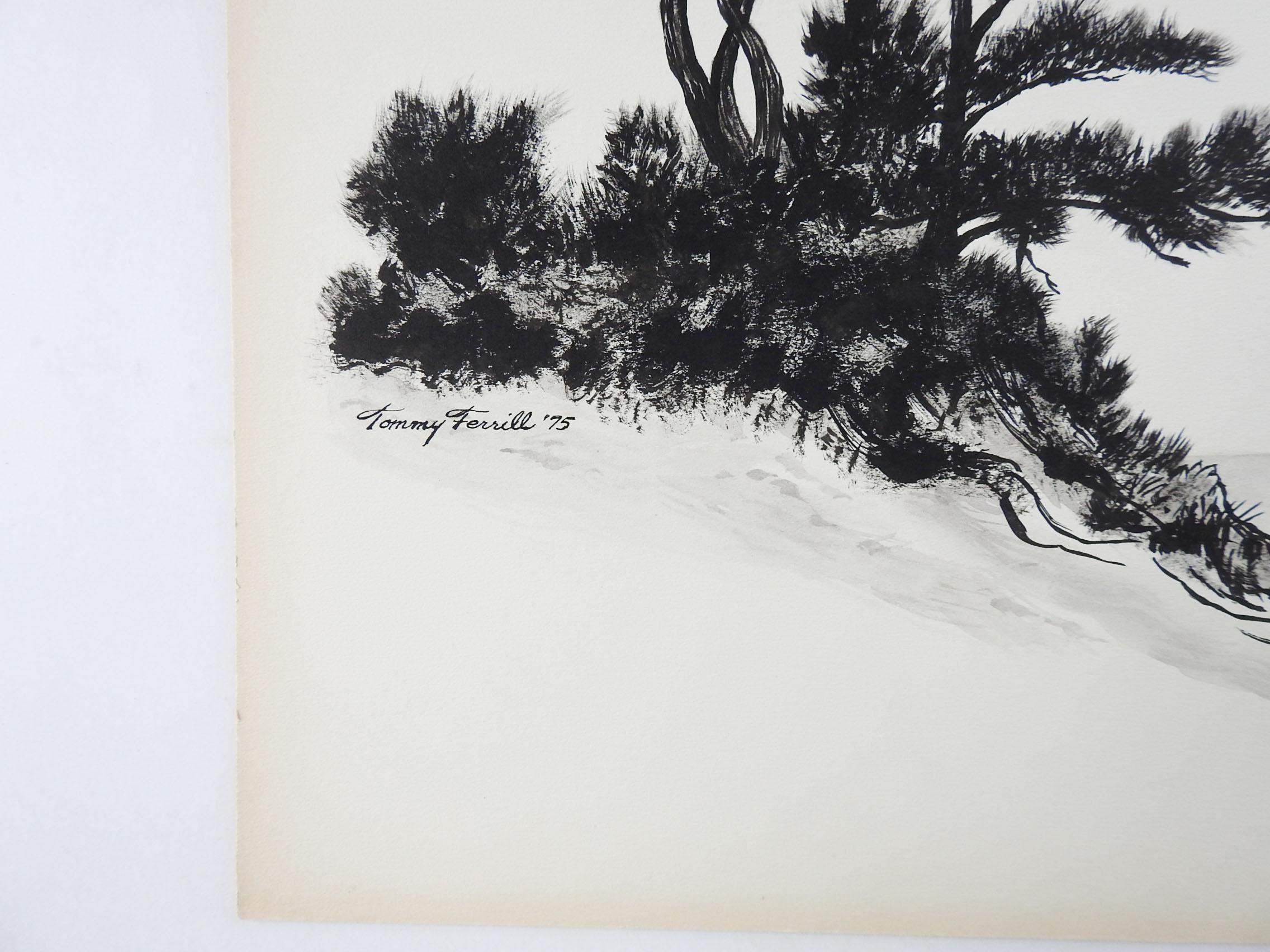 Ink Drawings Of Pine Trees