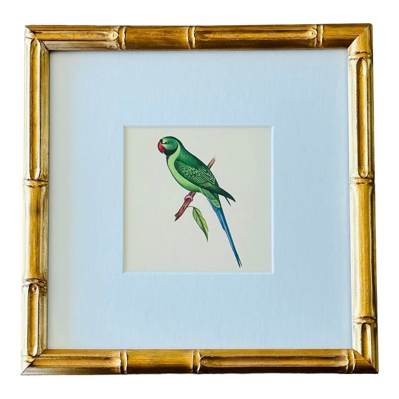 Hand-Painted Parrot Painting in Faux Bamboo Frame | Chairish