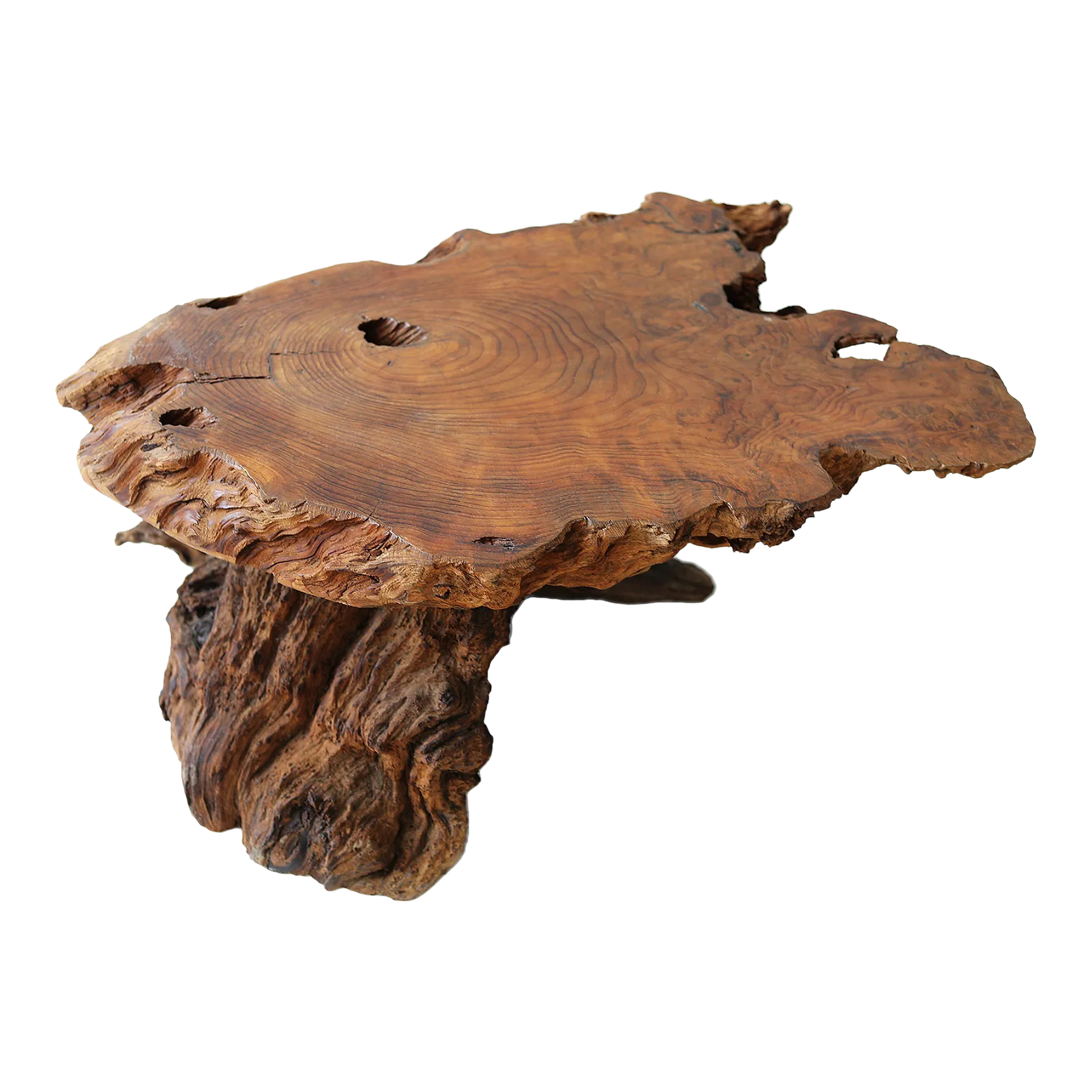 Mid Century Vintage Live Edge Wood Tree Slab Coffee Table With Natural ...