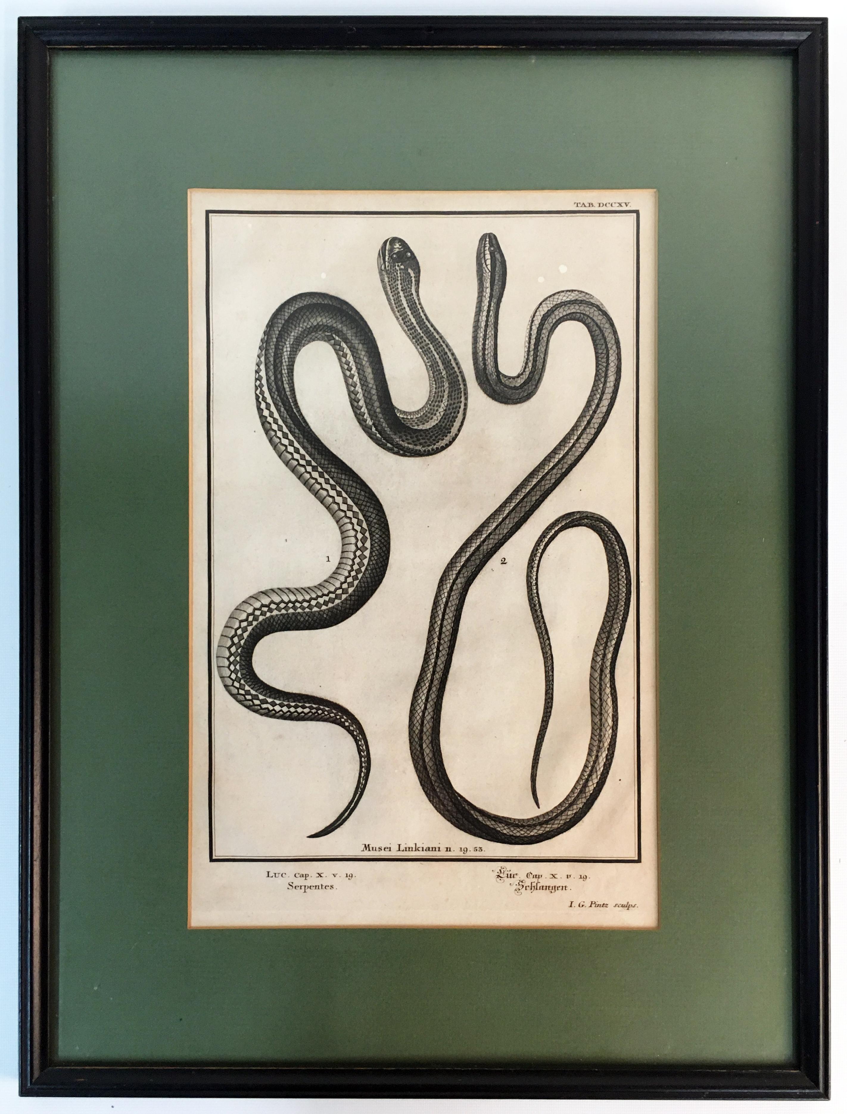 Schlangen Custom Cabinets | Cabinets Matttroy