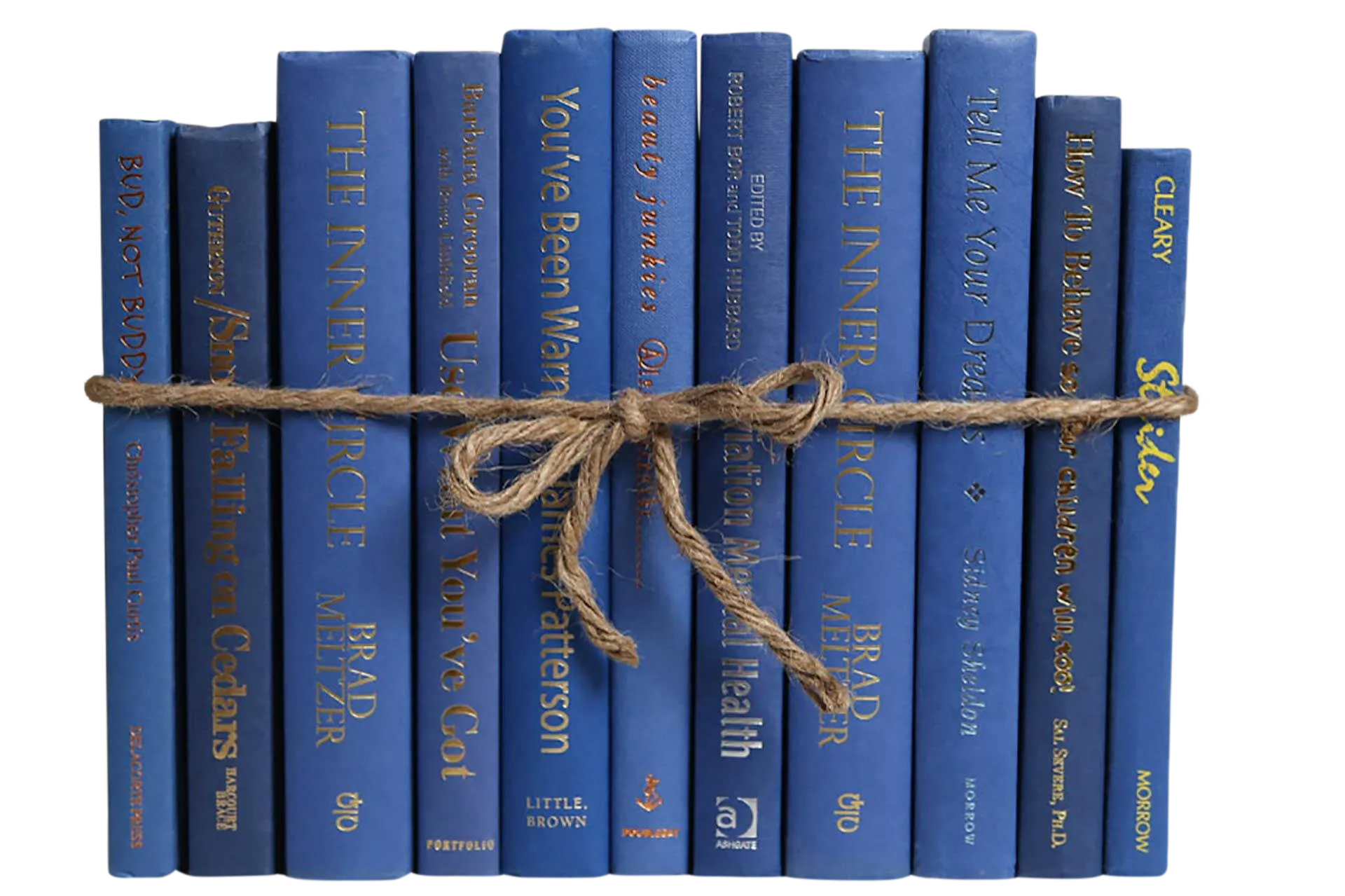 Modern Blue Jay Colorpak : Decorative Books in Medium Blue Shades ...