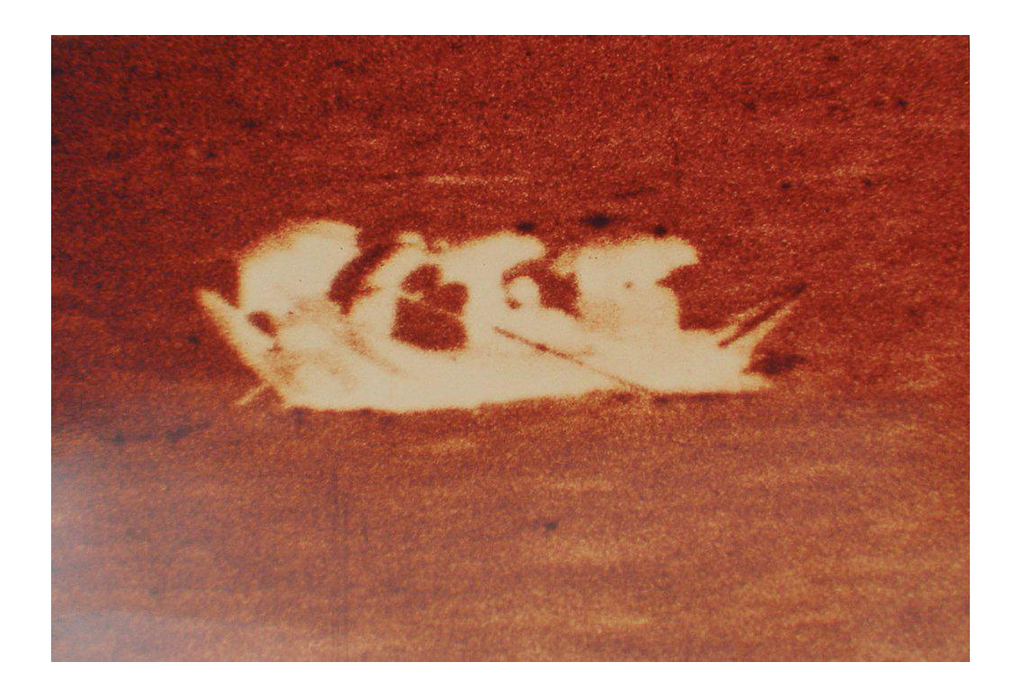 1962 Richard C. Bray Rangoon Burma Micrograph Technique Photograph ...
