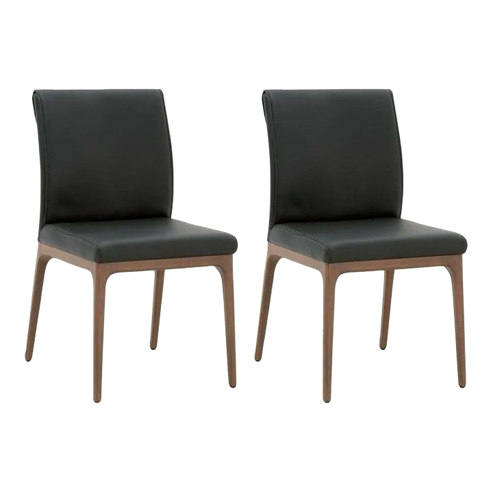 Alex Dining Chair, Set of 2 | Chairish