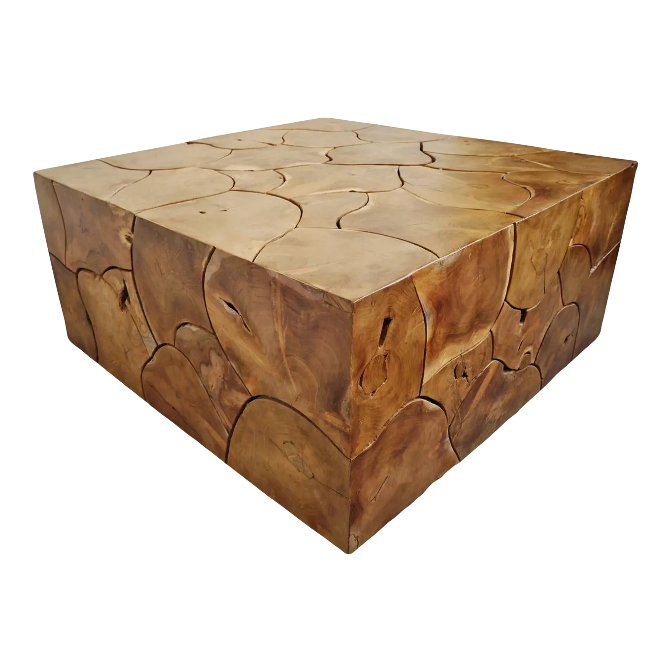 Organic Square Teak Root Coffee Table | Chairish