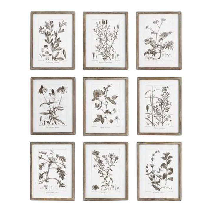 Rustic Foliage Study in Wood Frames, Set Of 9 | Chairish