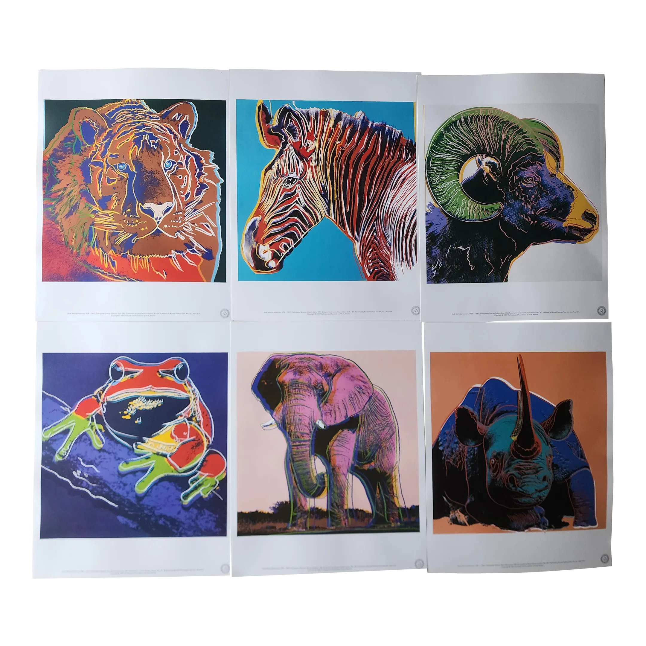 1989 Andy Warhol Endangered Species Prints in Original Portfolio | Chairish
