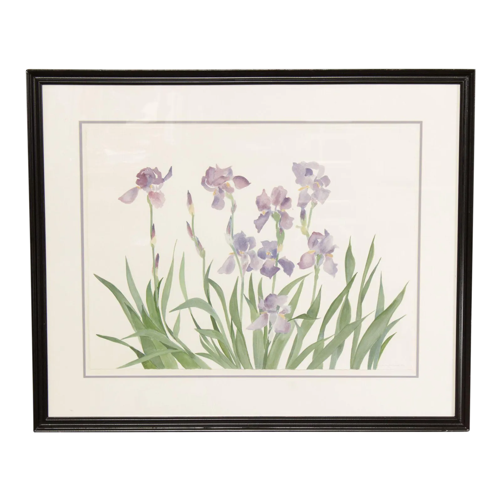 1980s Susan Headley Van Campen 'Iris' Watercolor Painting, Custom ...