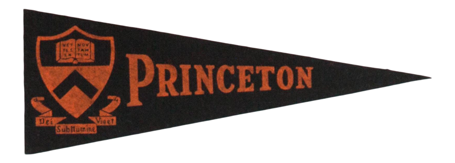 Vintage Princeton University Felt Flag | Chairish