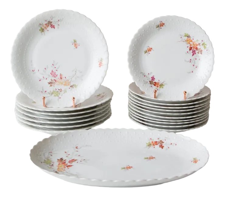 Dishes and Source from Limoges, 1950s, Set of 19 | Chairish