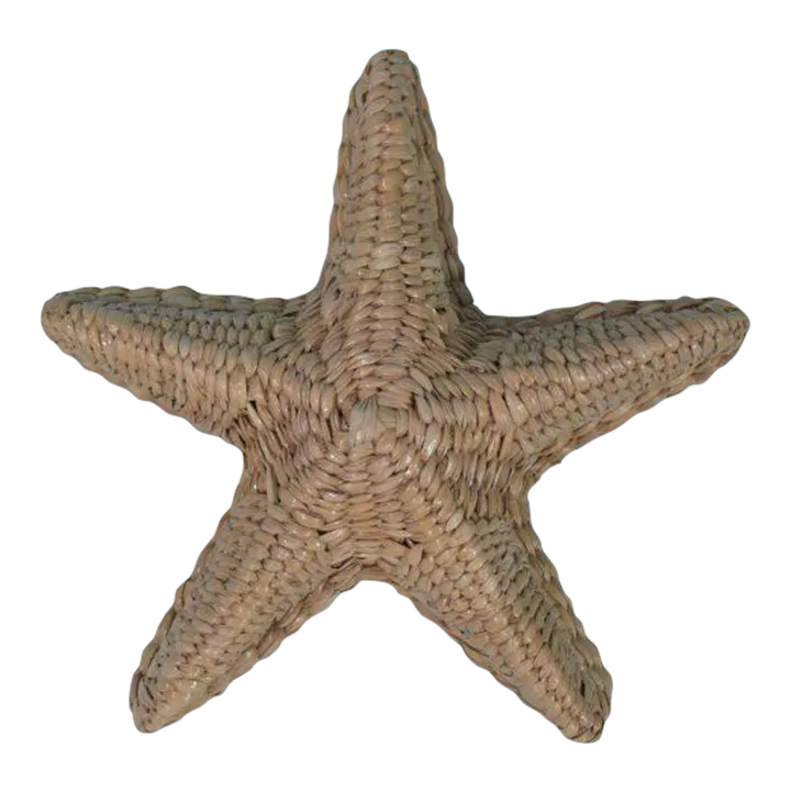 Starfish by Mario Lopez Torres | Chairish