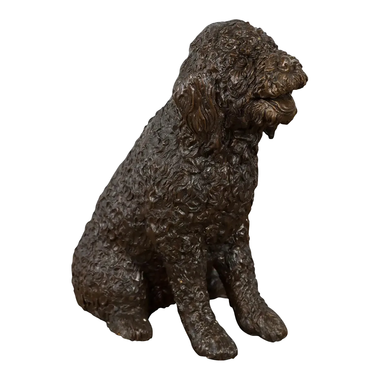 Contemporary Lost Wax Bronze Statue of Max the Labradoodle with Dark ...
