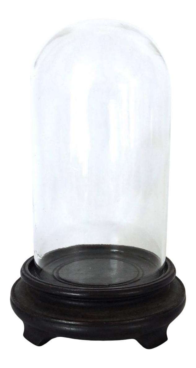 Vintage Chinese Rosewood Stand and Glass Bell Display Dome | Chairish
