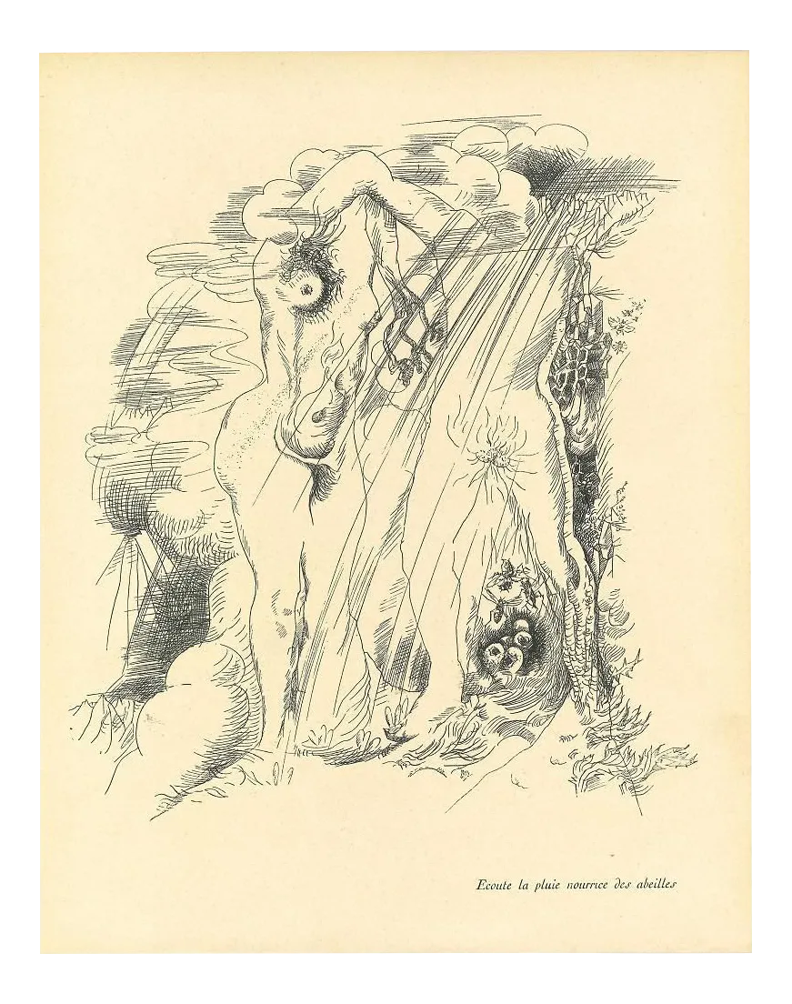 André Masson, Surrealist Study, Collotype, Mid-20th Century | Chairish