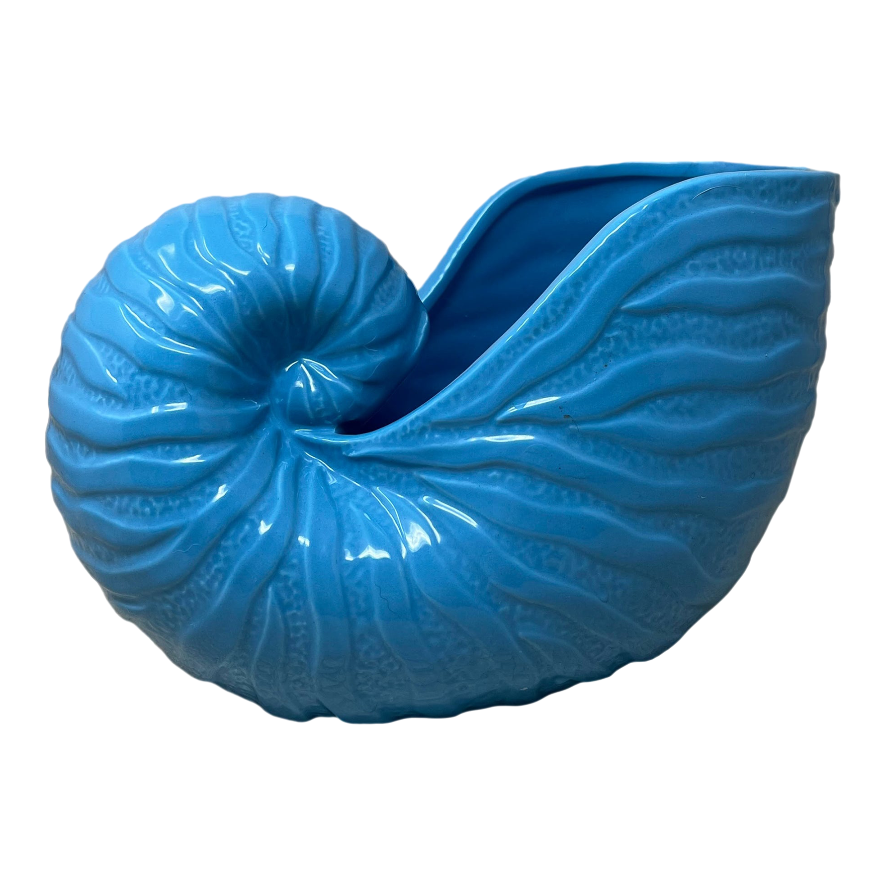 Glazed Ceramic Cyan Blue Nautilus Shell Bowl Planter | Chairish