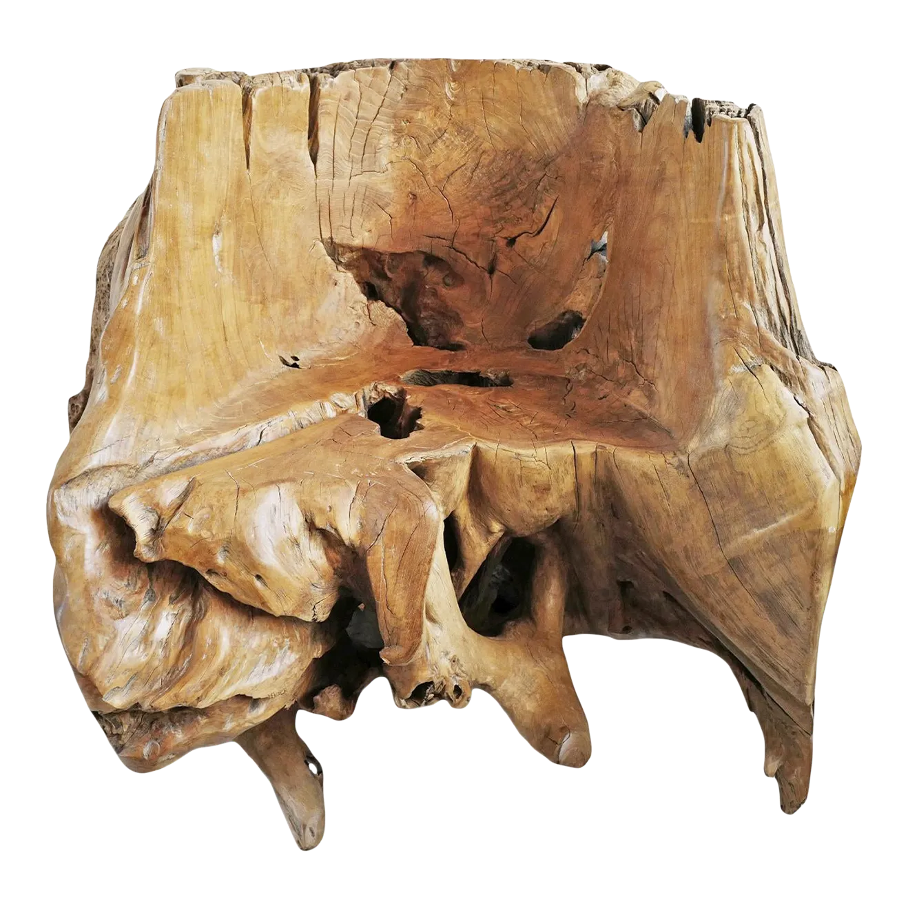 Free Form Burl Wood Root Chair | Chairish