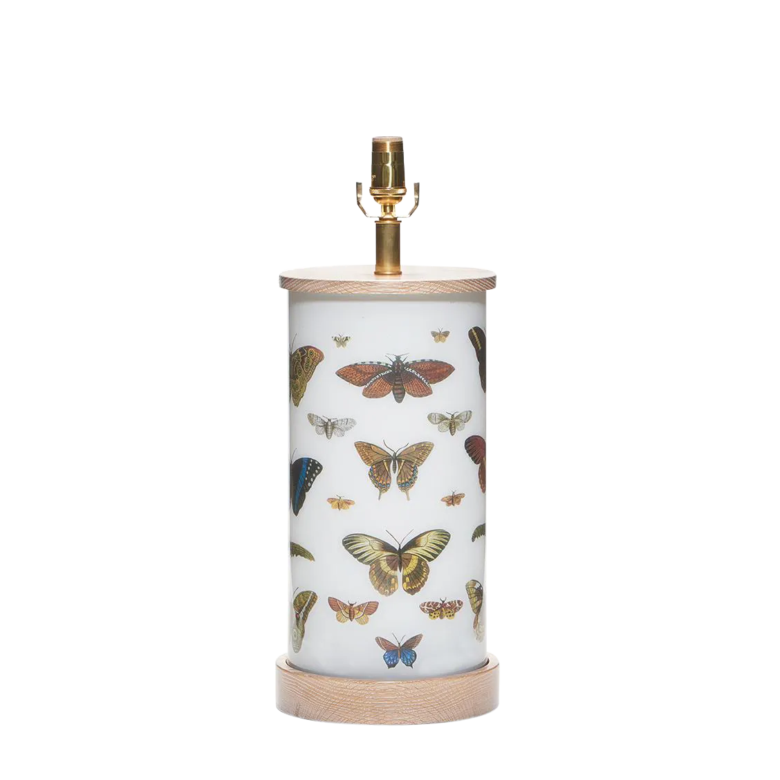 Liz Marsh Designs "Natural History" Table Lamp | Chairish