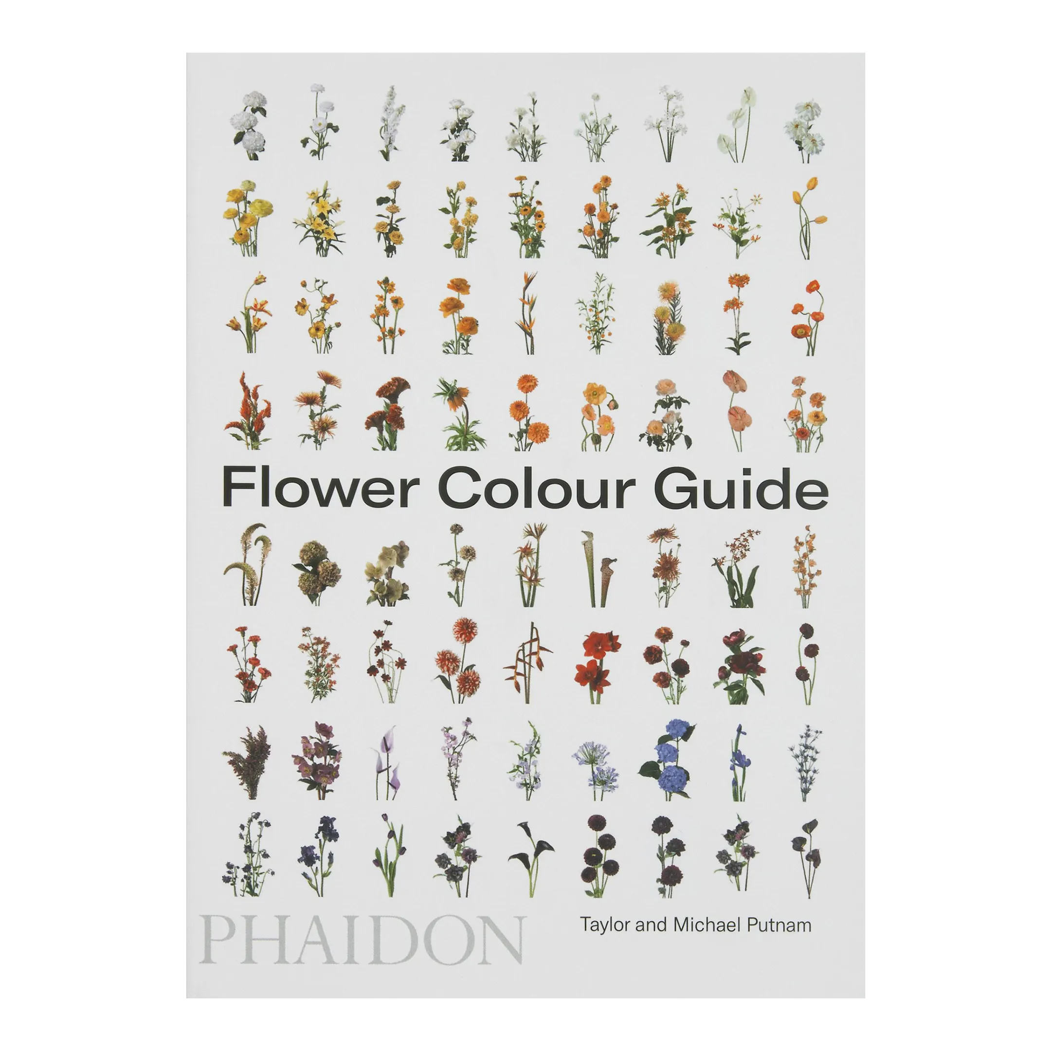 Flower Color Guide | Chairish