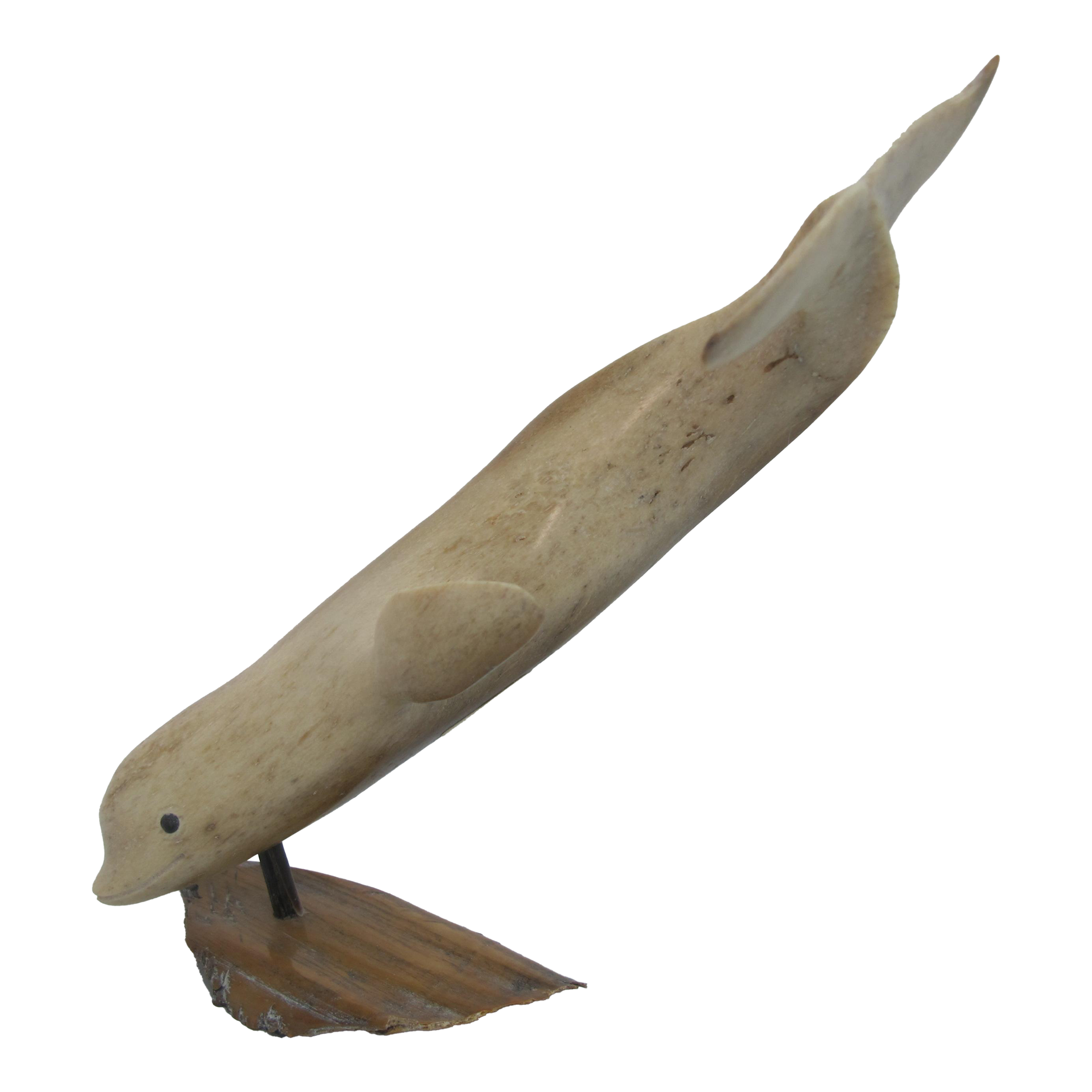 Canadian Inuit Diving Beluga Whale Carved Bone Sculpture on Base Signed ...